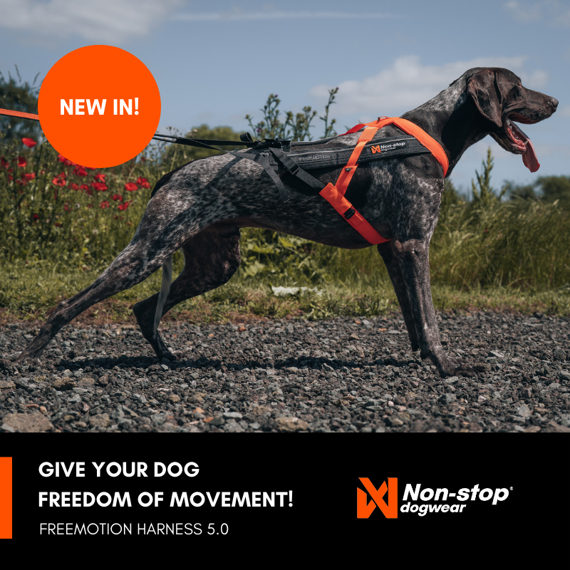 Non-Stop Dogwear Freemotion Harness 5.0 - See SAWYER Run