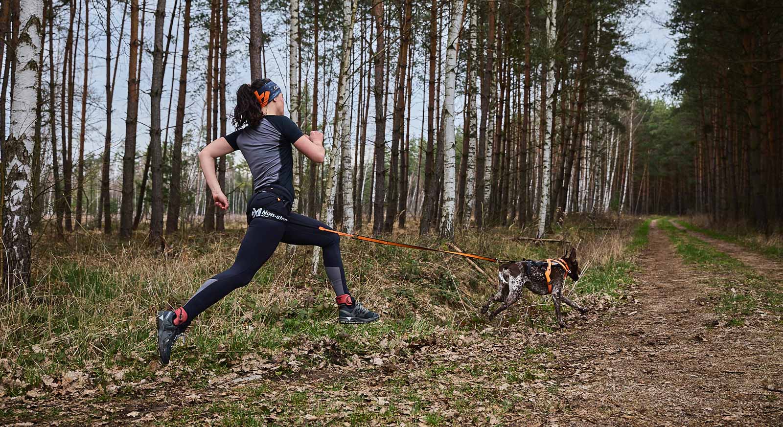 Non-Stop Dogwear CaniX Belt Pro | Canada - See SAWYER Run