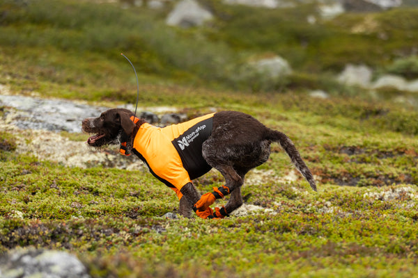 Non-Stop Dogwear Protector Half Suit | Canada - See SAWYER Run