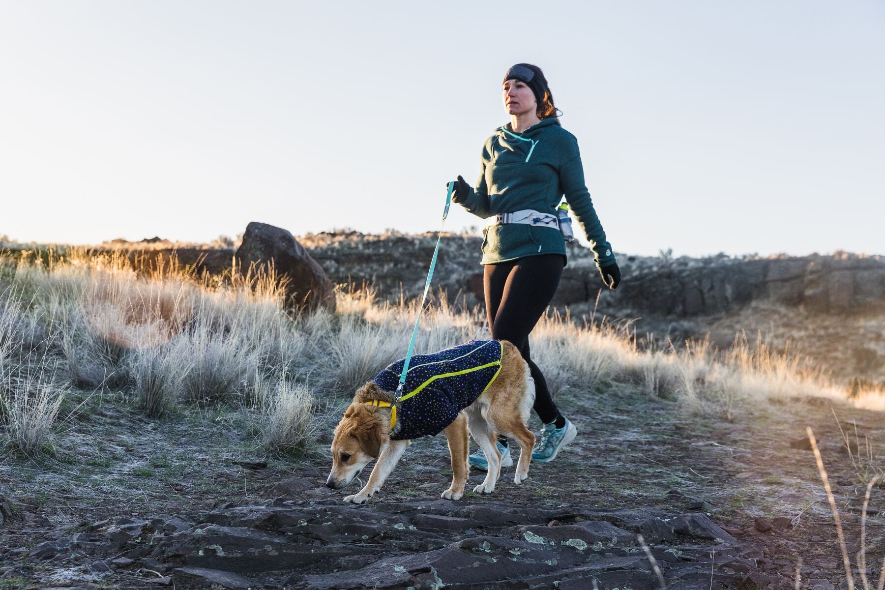 See SAWYER Run: Adventure Gear for Dogs