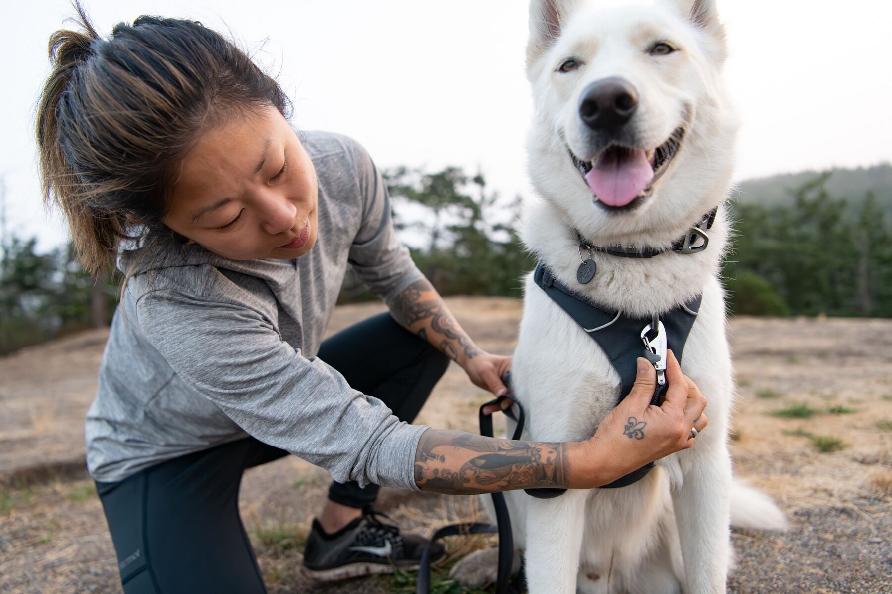 Ruffwear | Canada | Outdoor Gear for Dogs - See SAWYER Run