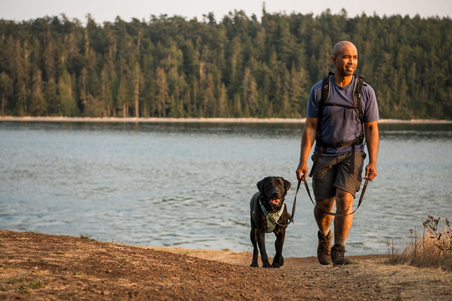 Ruffwear | Canada | Outdoor Gear for Dogs - See SAWYER Run