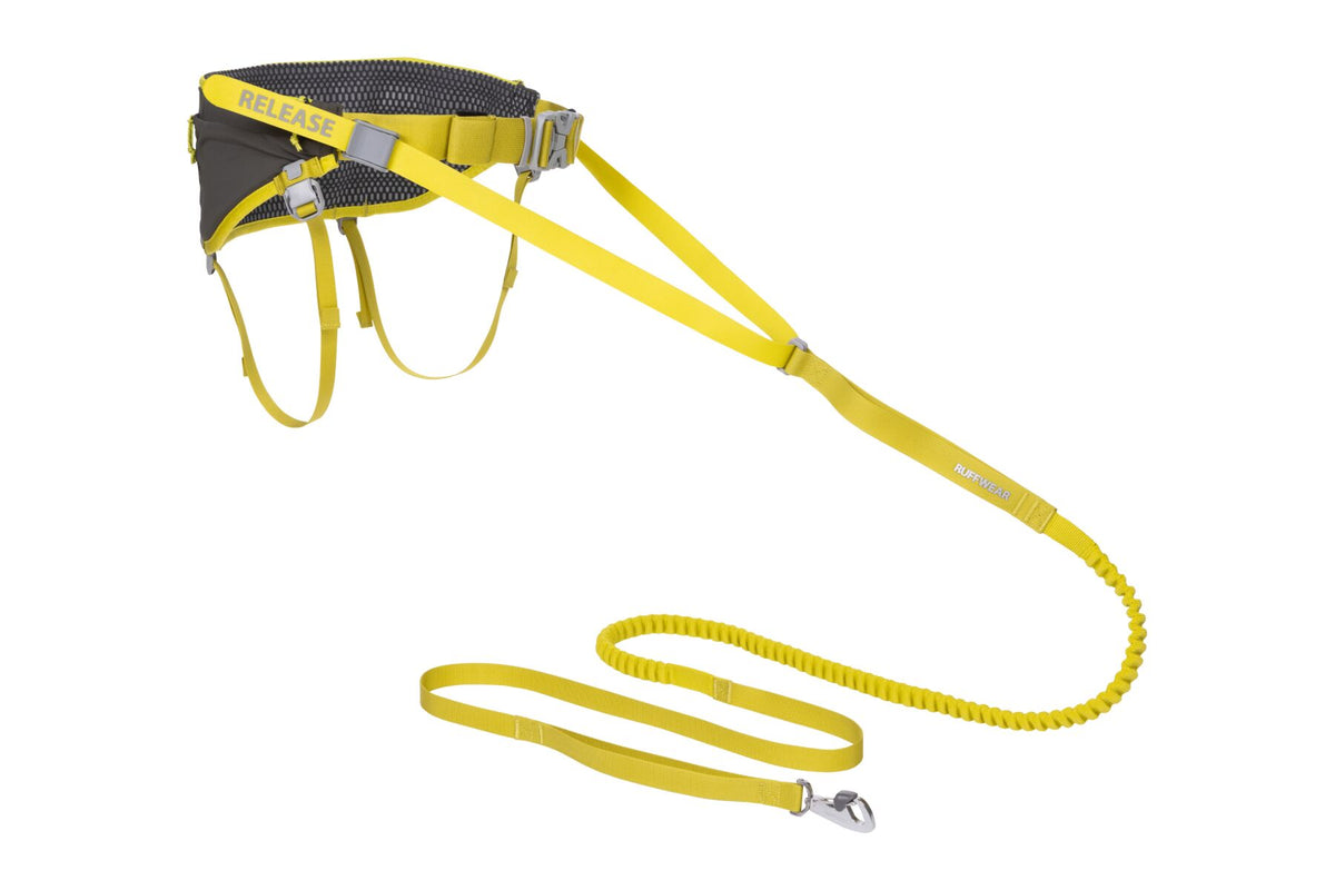 Ruffwear Omnijore Joring System for Dogs | Canada - See SAWYER Run