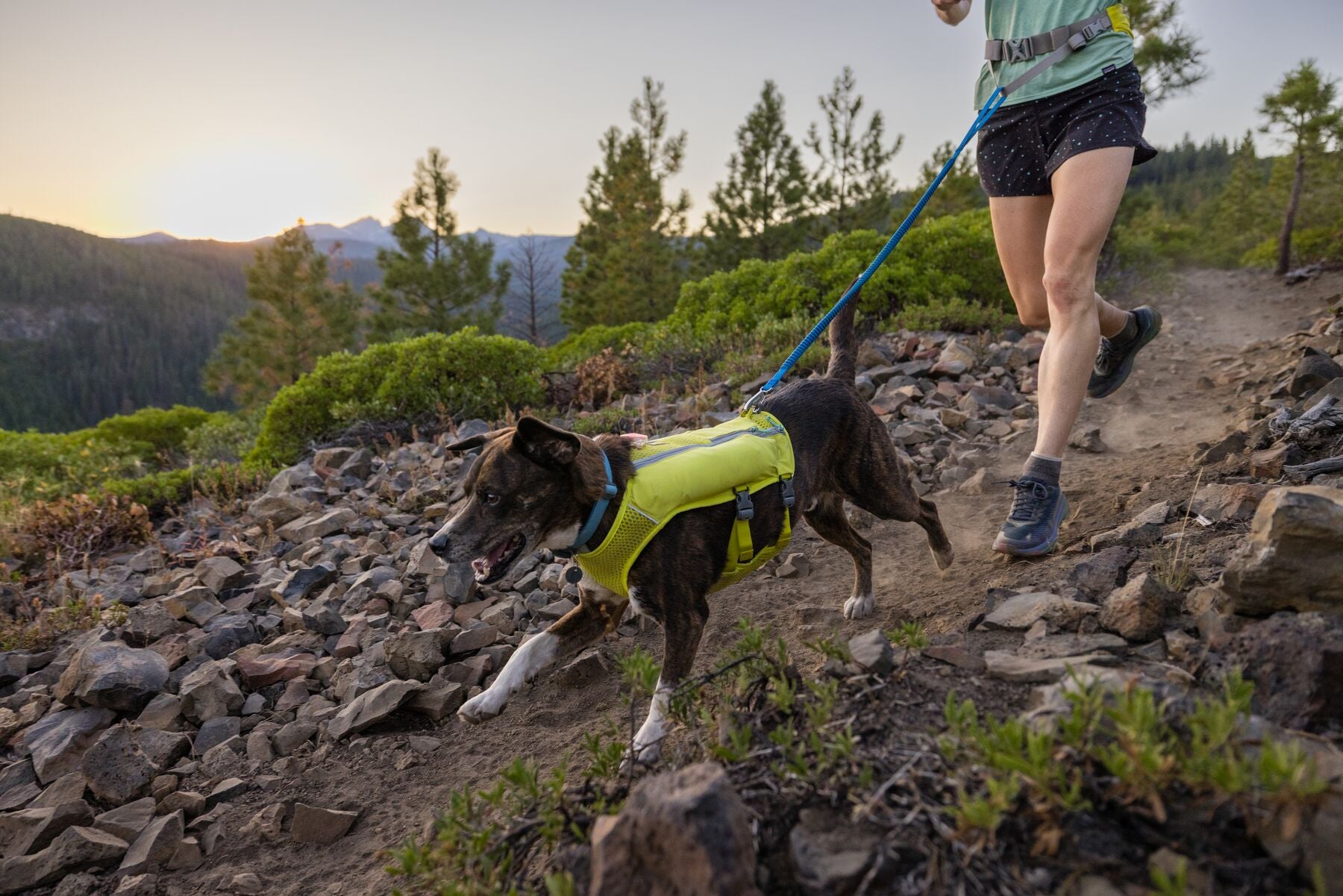 Ruffwear Trail Runner Running Vest | Canada - See SAWYER Run